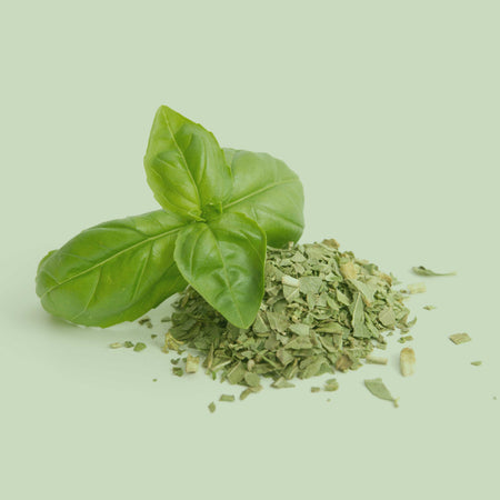 Nachhaltige Produkte kaufen | Umweltfreundlich | Spintz